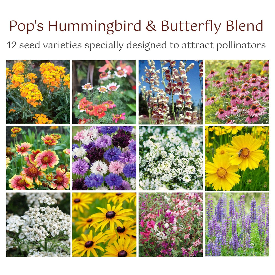Hummingbird & Butterfly Wildflower Pollinator Seed Mix – Pop's Birding
